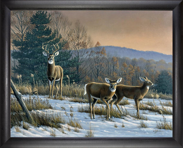 Prime Time (Beechdale) - Our Country Hearts